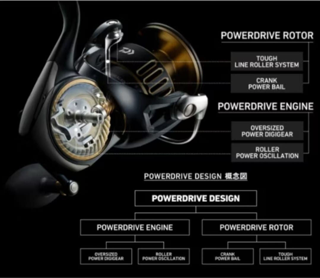 Daiwa 25 Saltiga 10000-H & 14000-XH Spinning Reel, Sports Equipment, Fishing on Carousell