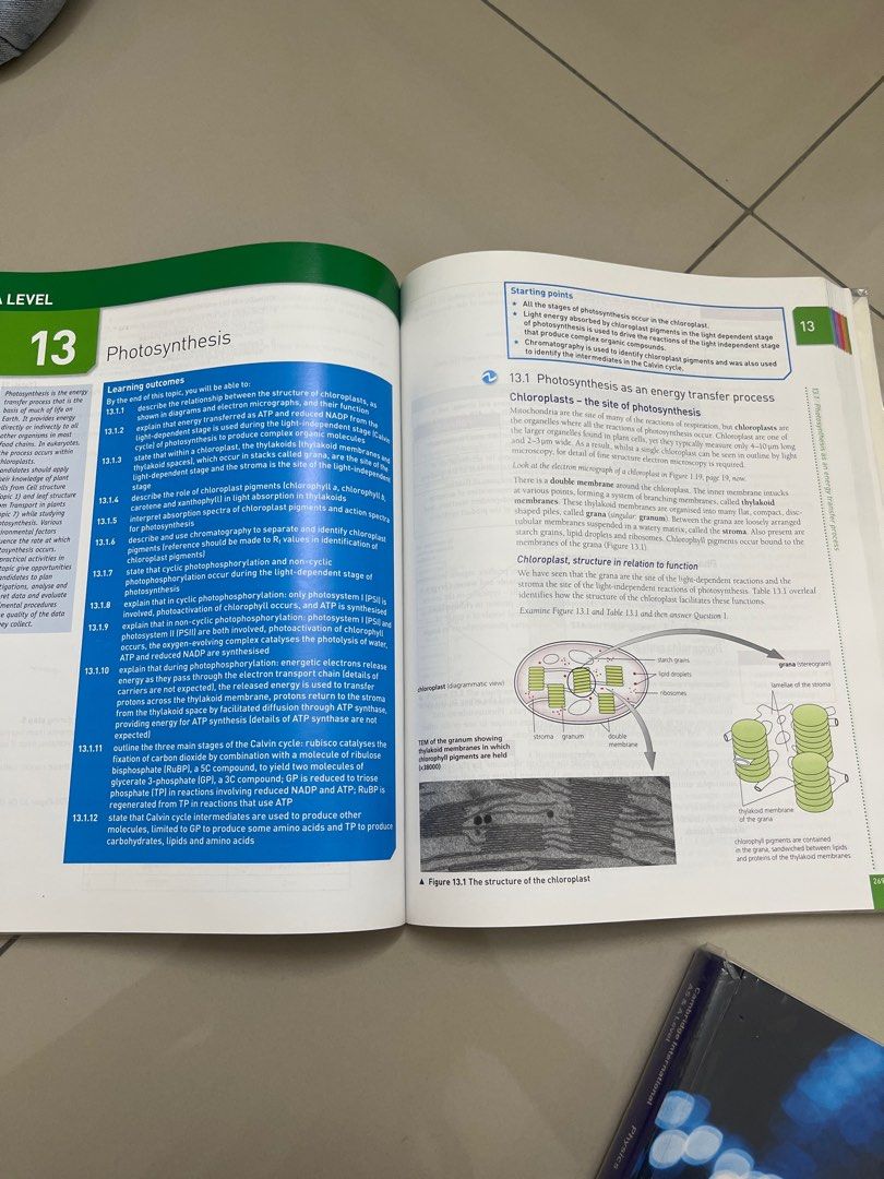 Hodder Cambridge International AS & A Level Physics, Biology, Chemistry ...