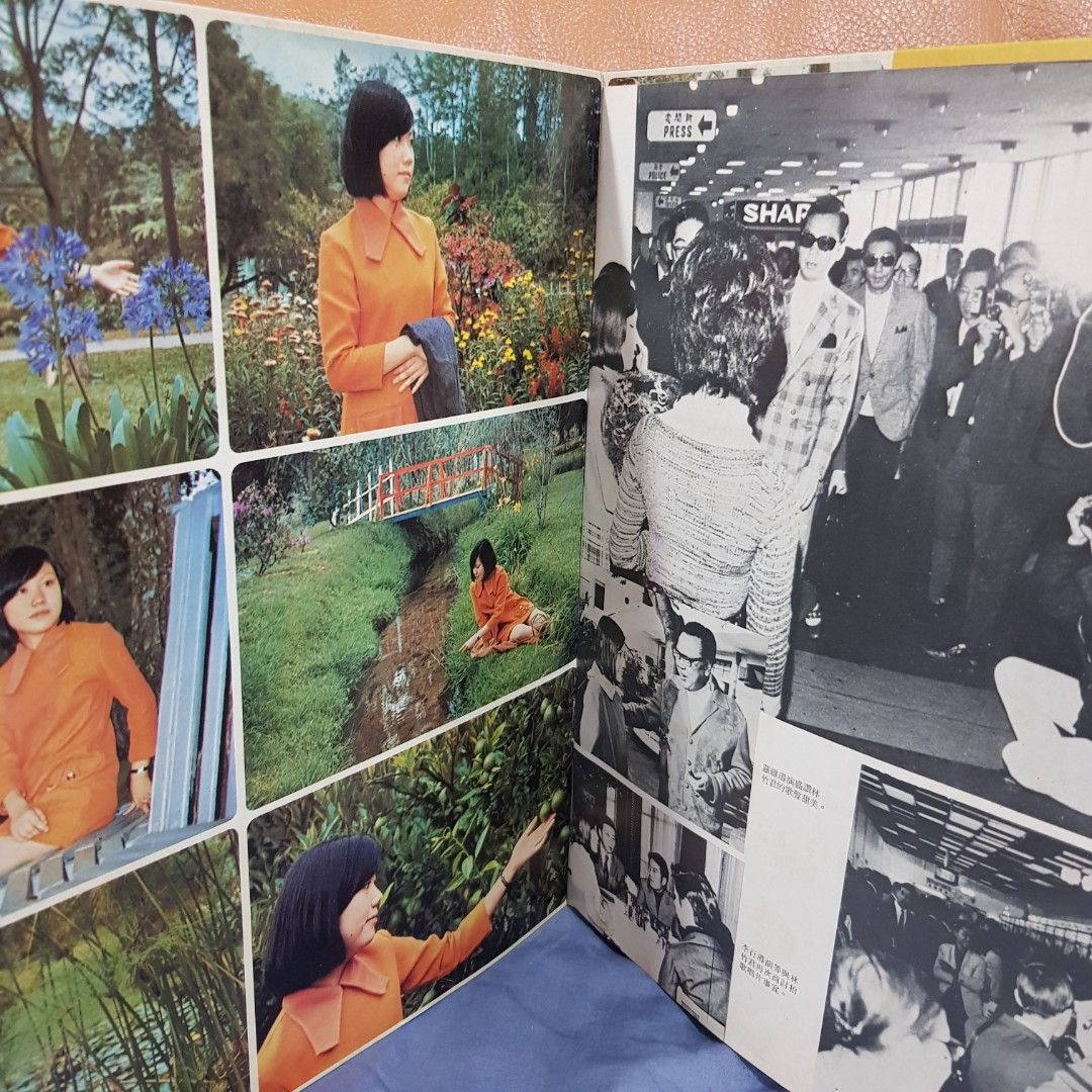 林竹君歌辑 Vol 3 Vinyl Record LP 黑胶唱片, Hobbies & Toys, Music & Media, Vinyls ...