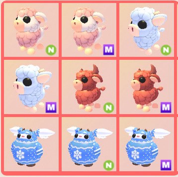 Adopt Me! Week 3 Christmas 2025! Angus calf, angus cow, angus bull ...