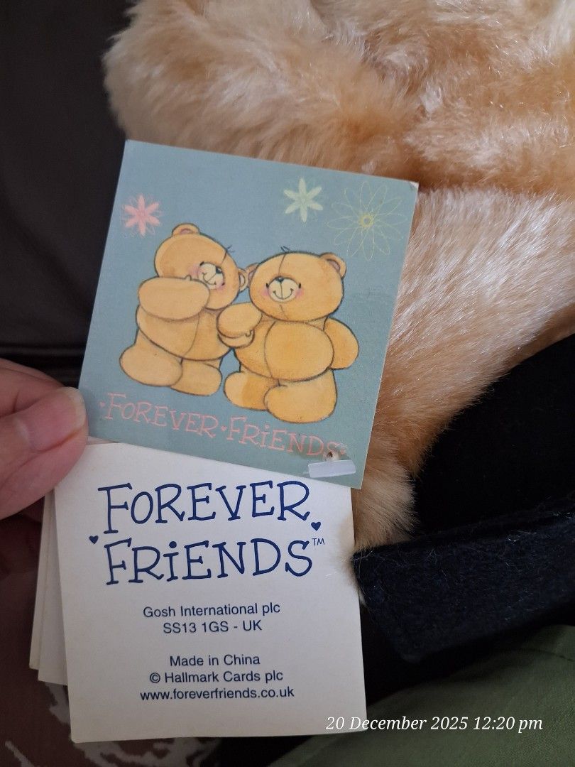 Forever Friends Graduation Bear, Hobbies & Toys, Toys & Games on Carousell