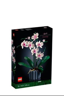 Lego Botanical Collection Pink Roses Set, Hobbies & Toys, Toys & Games ...