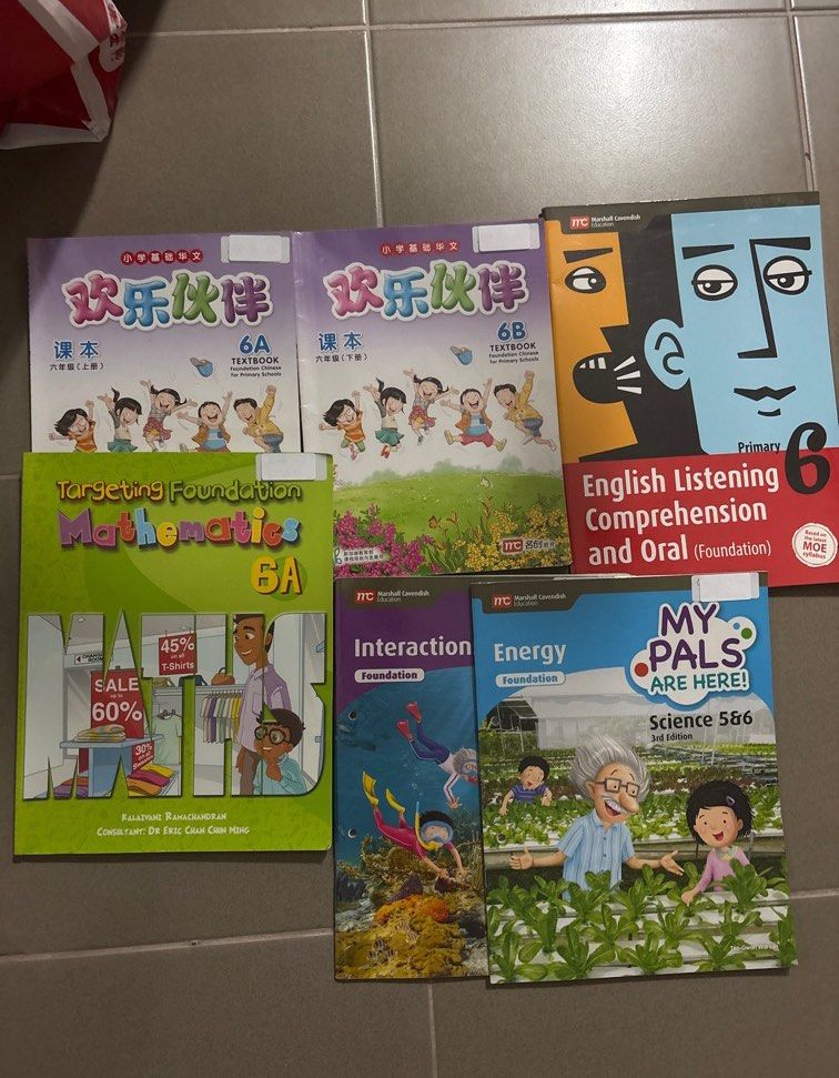Primary 6 foundation Textbooks, Everything Else on Carousell