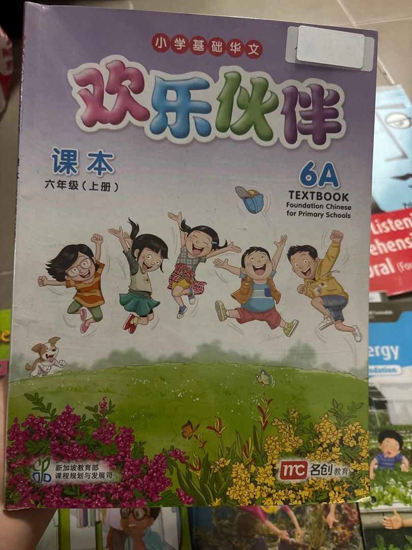 Primary 6 foundation Textbooks, Everything Else on Carousell