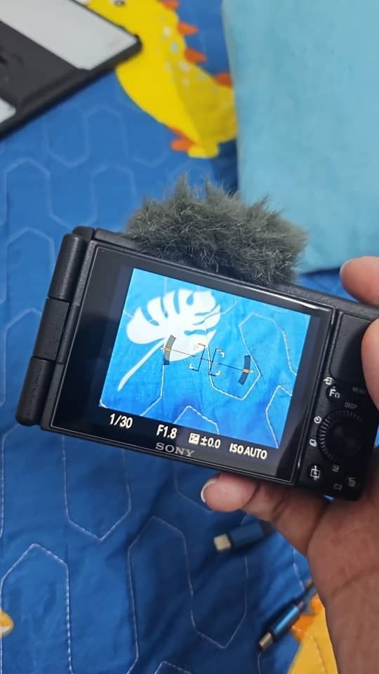 Sony ZV-1 Digital Camera with Microphone, Photography, Cameras on Carousell