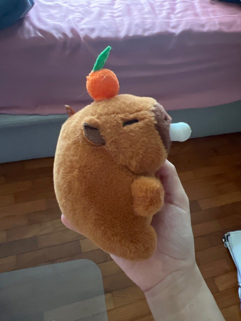 Tanuki Plush Toy with Carrot, Hobbies & Toys, Toys & Games on Carousell