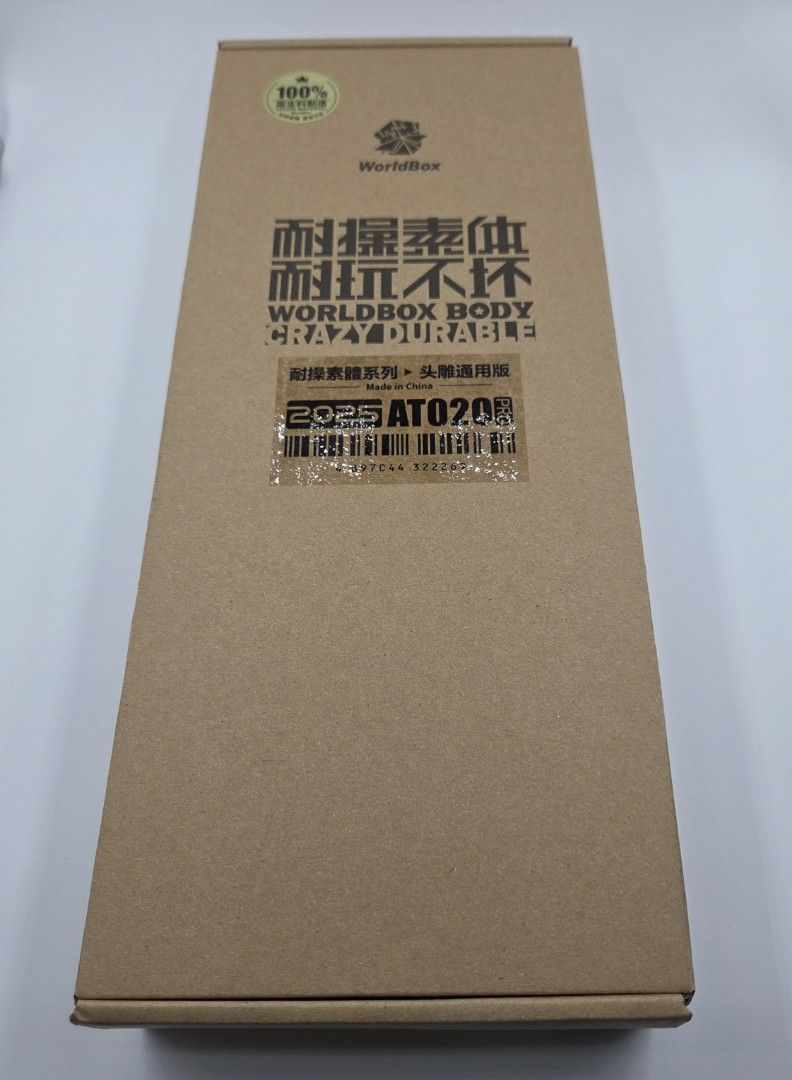 1/6 Scale World Box Universal Replacement Body, Hobbies & Toys, Toys ...