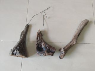 Aquarium Driftwood Fish Tank Discus Altum Pleco Tetra Corydoras Orchid ...