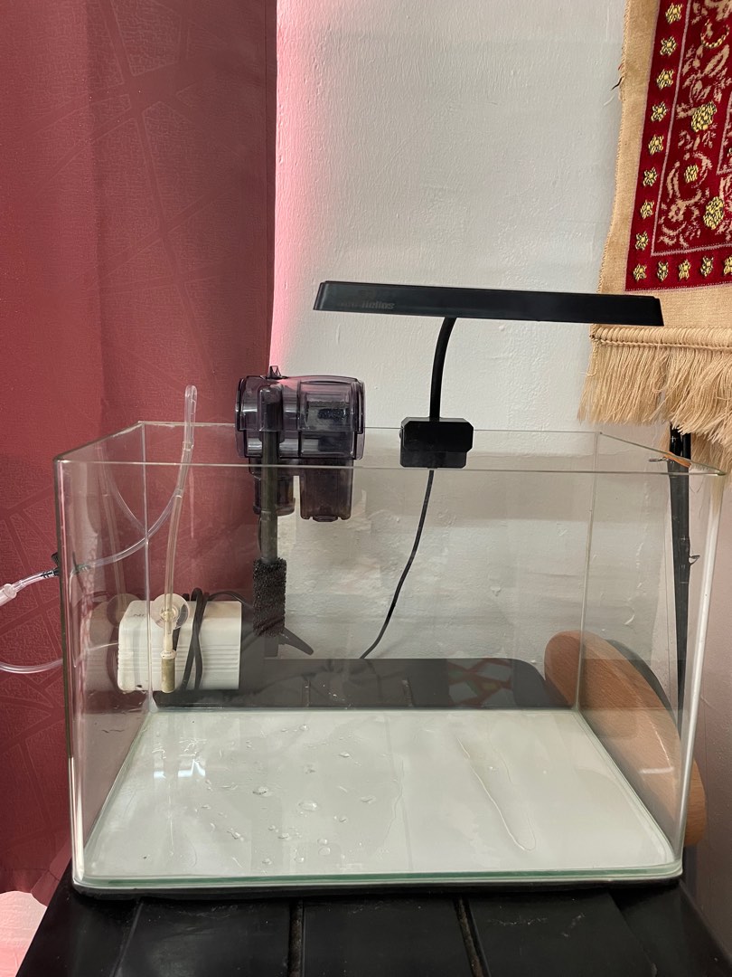 Fullset aquarium curve tank, Pet Supplies, Homes & Other Pet ...