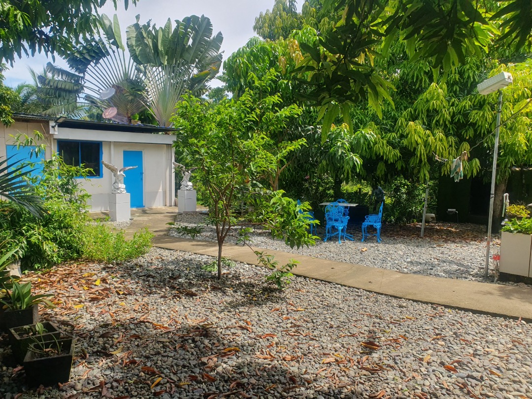 Mickey Laar’s Profile Page on Carousell | All of Mickey Laar’s Items ...