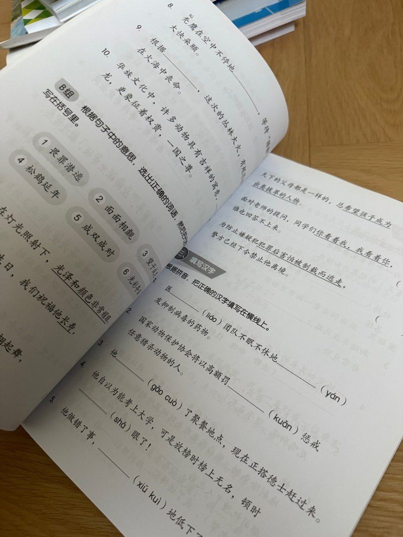 MC Chinese Topical Practice Assessment - Secondary 2A, Hobbies & Toys ...