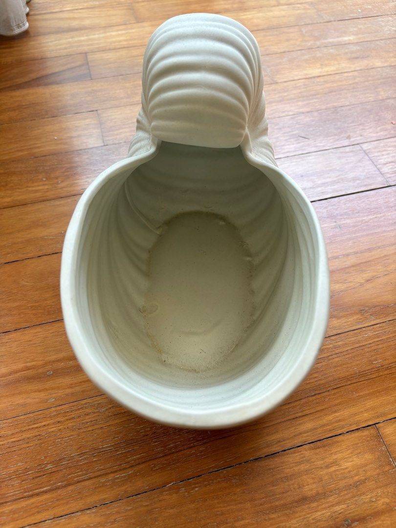 Nautilus Shell Vase - Cream, Furniture & Home Living, Home Decor ...