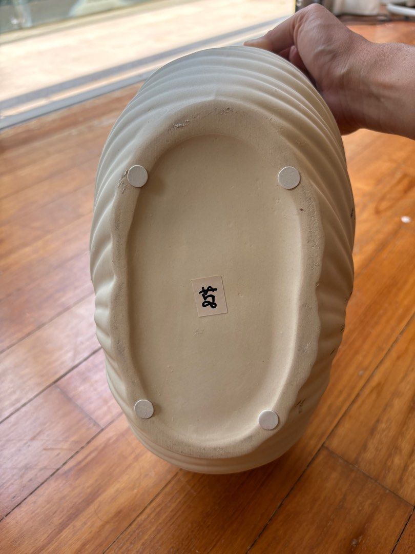 Nautilus Shell Vase - Cream, Furniture & Home Living, Home Decor ...