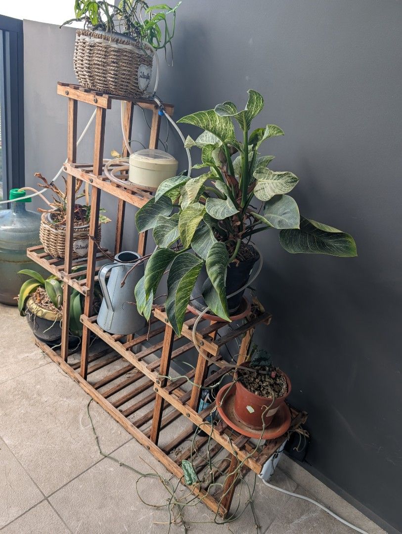 Plant Rack for free, Furniture & Home Living, Outdoor Furniture on ...