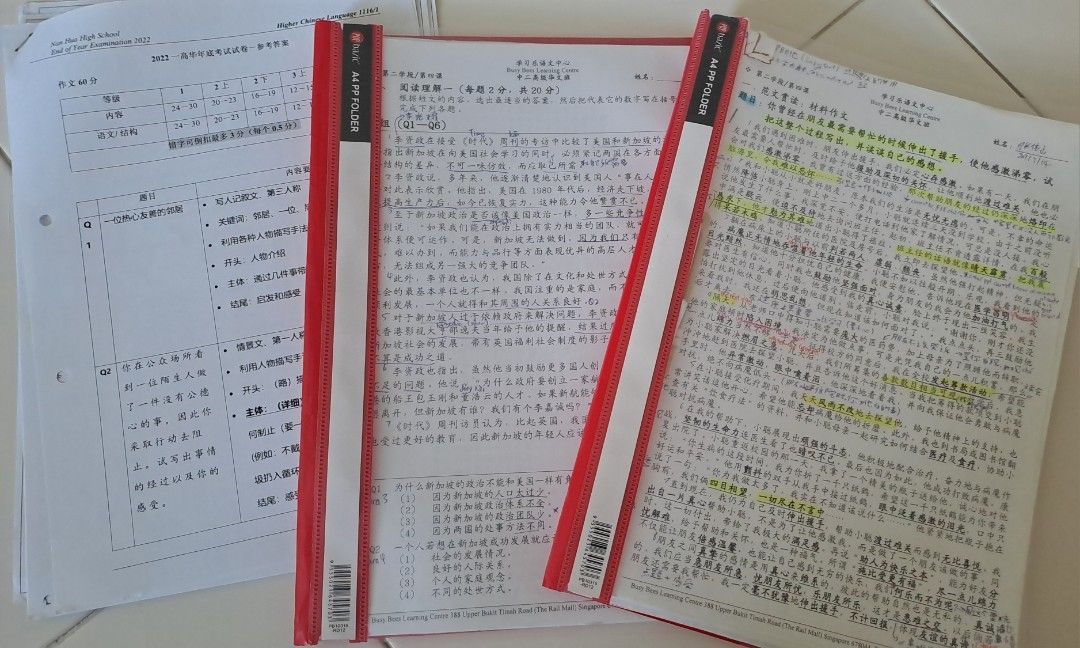 Sec 2 Busybees Higher Chinese tuition notes (tag: sec 3, sec 4, o level ...