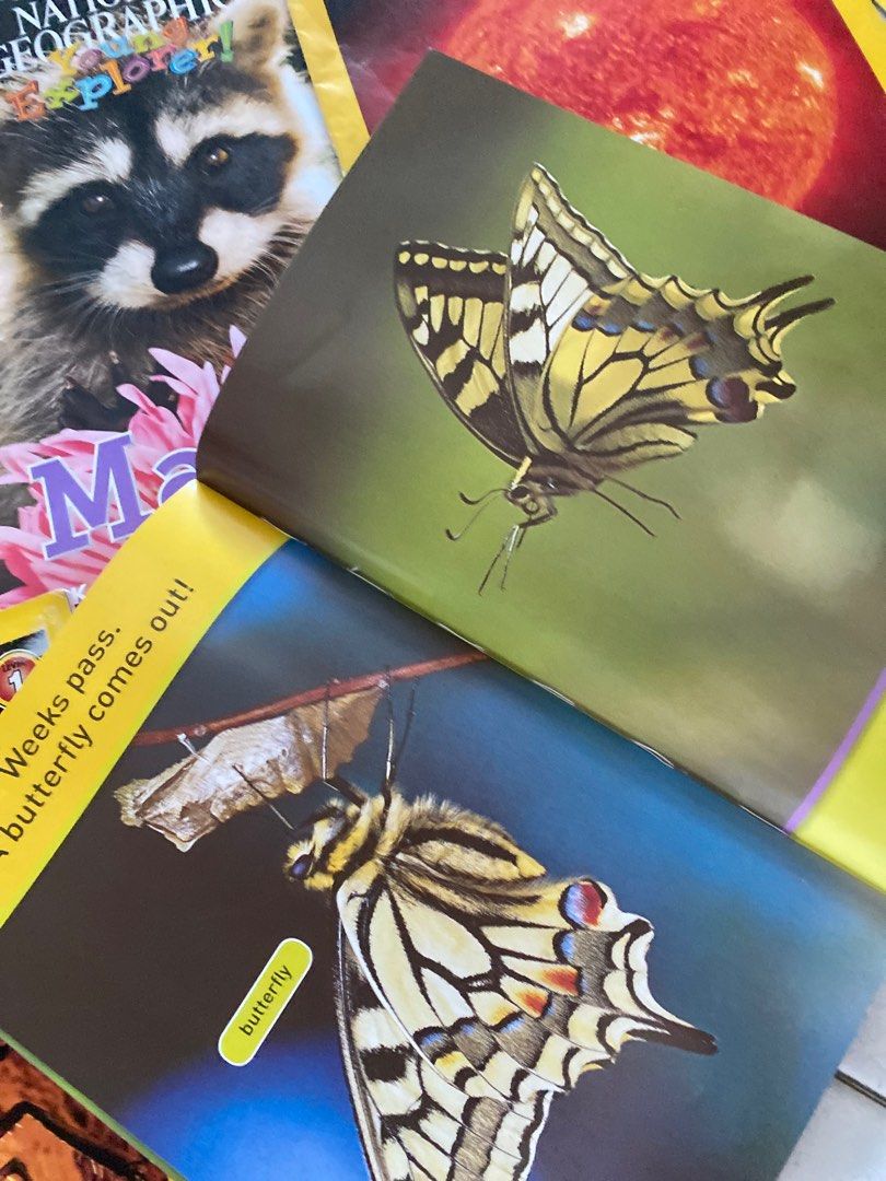 11 X ( bundle of 11) National Geographic Explorer / Kids Books GB ...