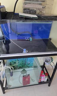 Outdoor Fish Tank Aluminium Rack Stand, Pet Supplies, Homes & Other Pet ...