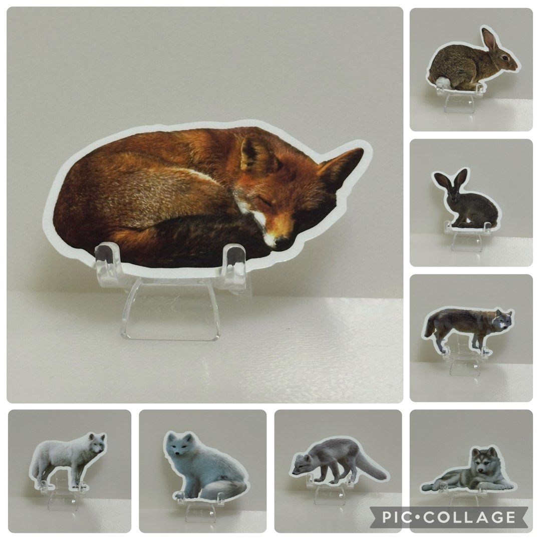 Animal Stickers - Assorted Designs, Hobbies & Toys, Art & Prints on ...