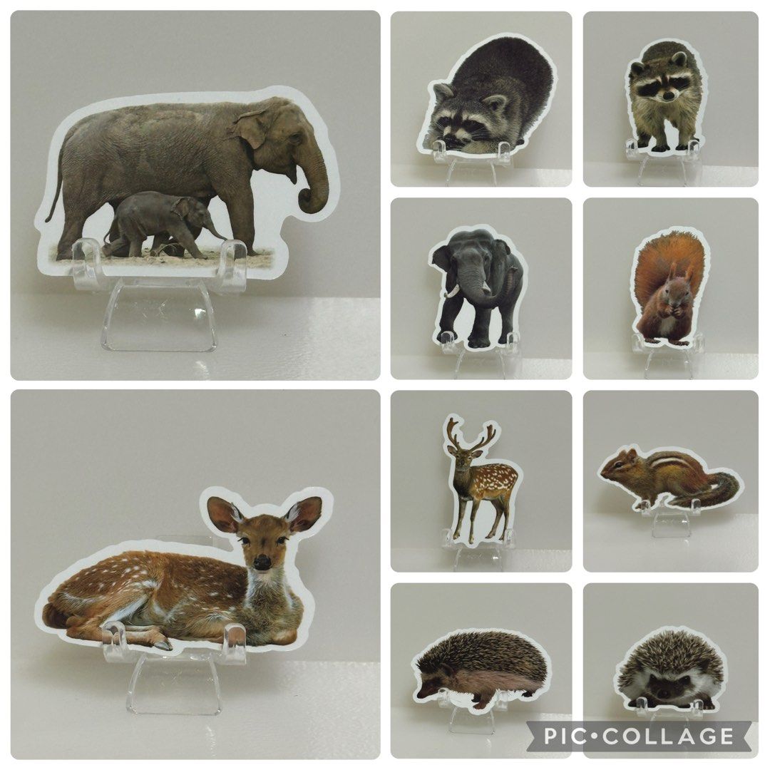Animal Stickers - Assorted Designs, Hobbies & Toys, Art & Prints on ...