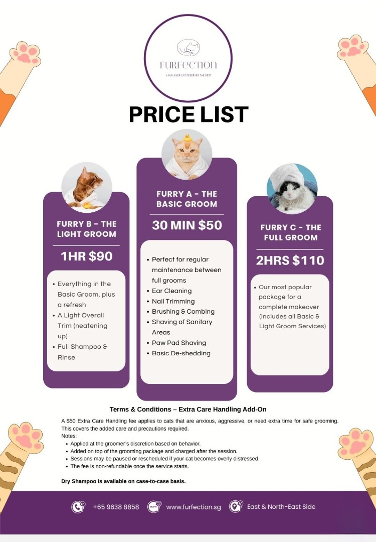 Furfection Mobile Cat Grooming Services, Lifestyle Services, Pet Care ...