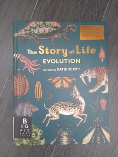 Epigram- Portugal story, Hobbies & Toys, Books & Magazines, Children's ...