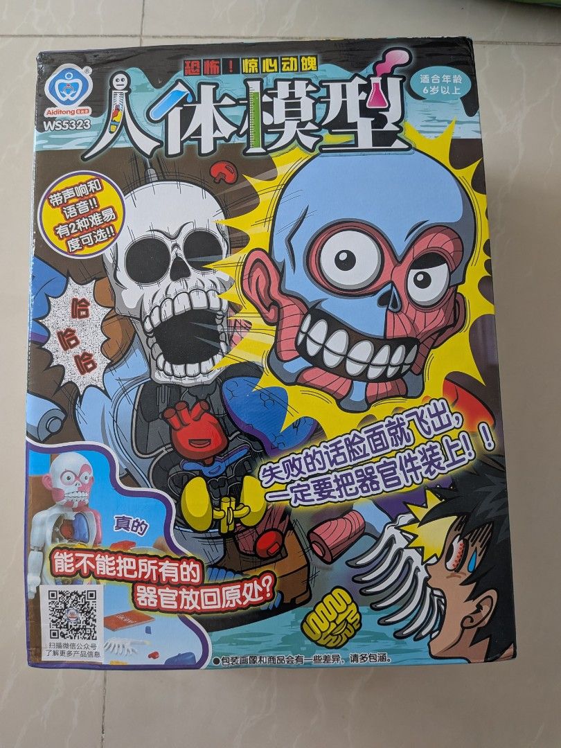 Anatomy Model - Educational Toy, Hobbies & Toys, Toys & Games on Carousell