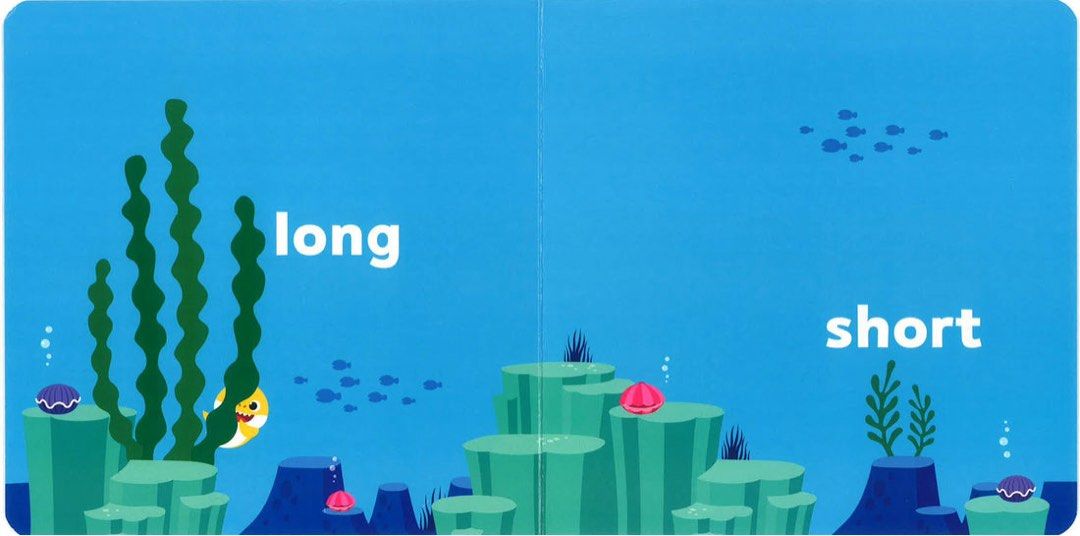 Baby Shark First Books: Opposites & Colors, Hobbies & Toys, Books ...