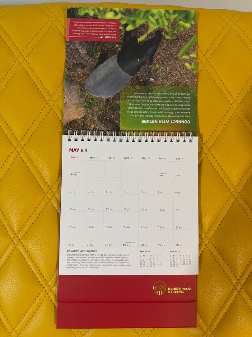 Desktop Calendar For Yr 2026, Everything Else on Carousell