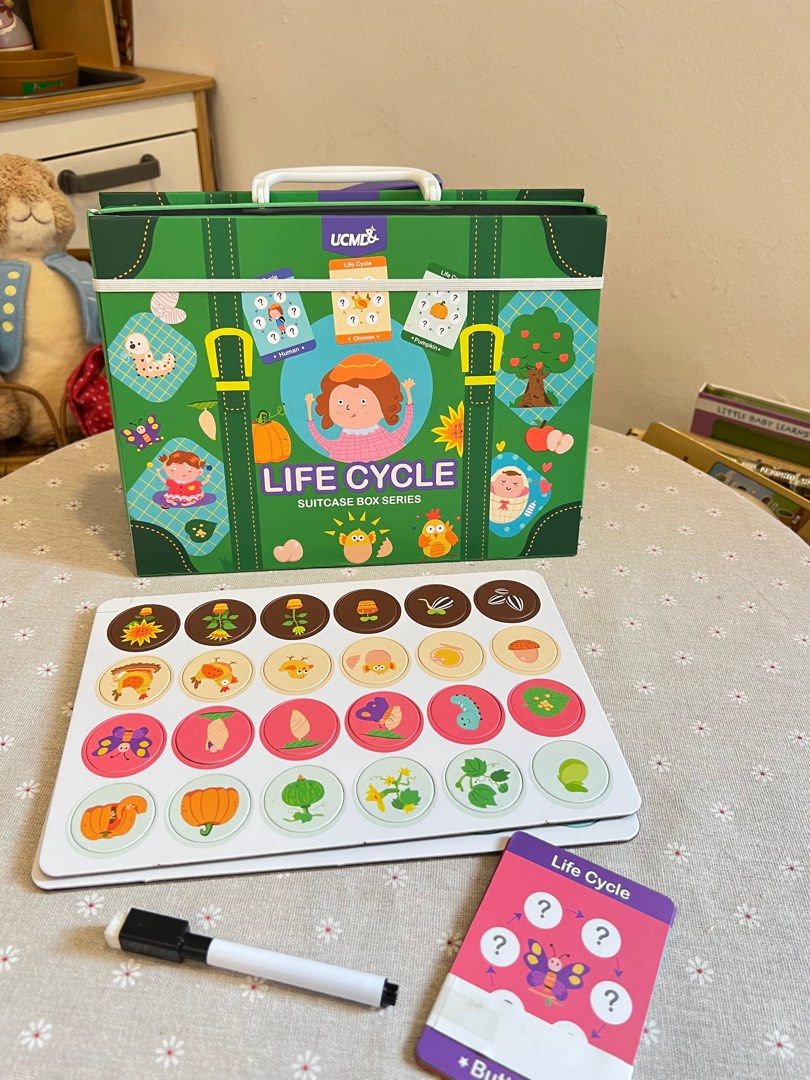 Life Cycle Suitcase Box Series, Hobbies & Toys, Toys & Games on Carousell
