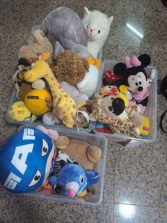 Blackmores Soft Toy, Hobbies & Toys, Toys & Games on Carousell