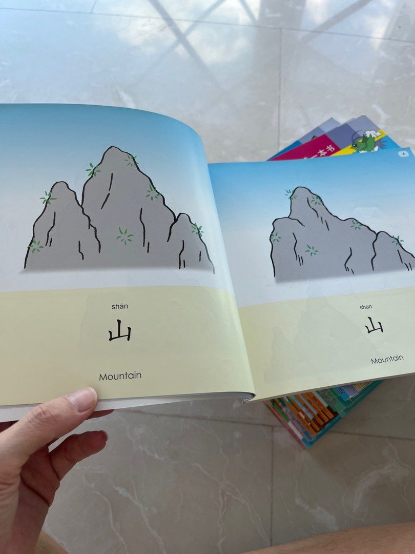 Sage formula basic Chinese 500, Everything Else on Carousell