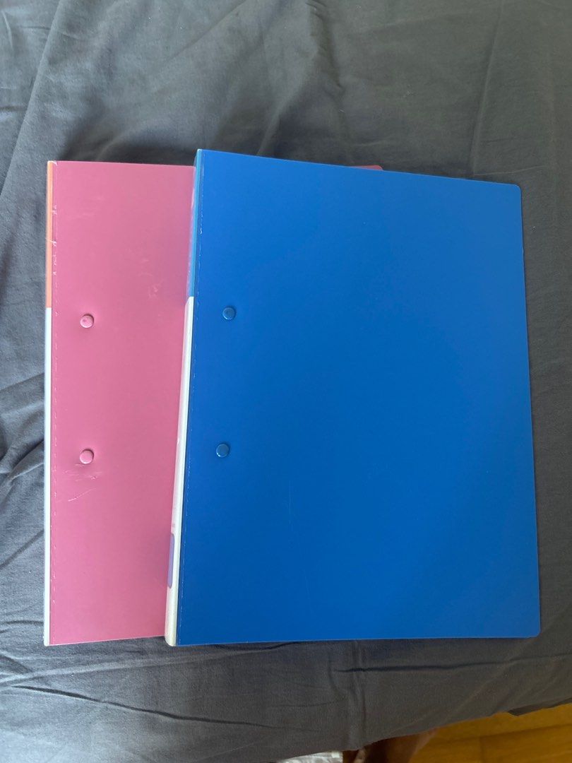 A4 size paper Files - Pink and Blue, Hobbies & Toys, Stationery & Craft ...