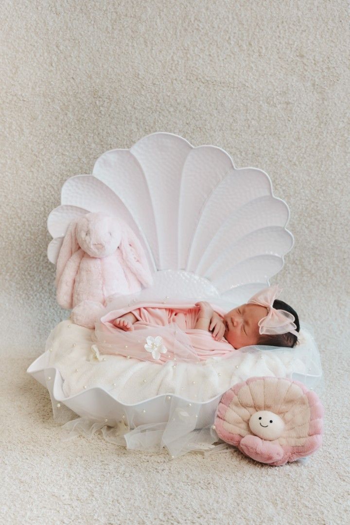 Big White Clam Shell Decor Set - Perfect for Newborn Photoshoots ...