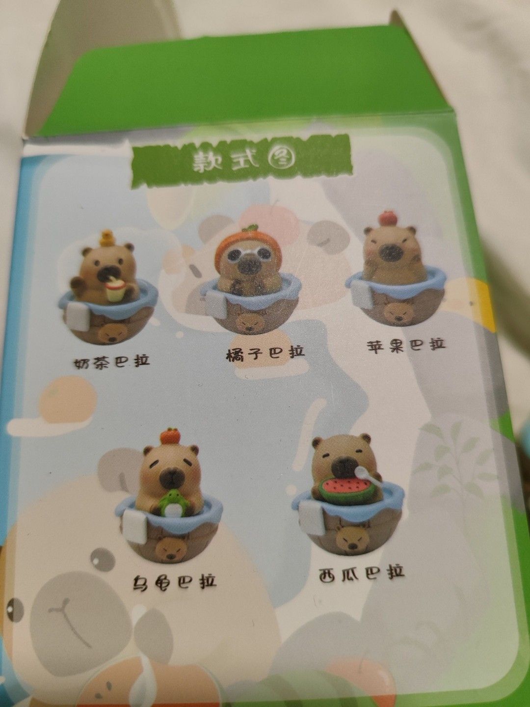 Capybara blind box, Hobbies & Toys, Toys & Games on Carousell