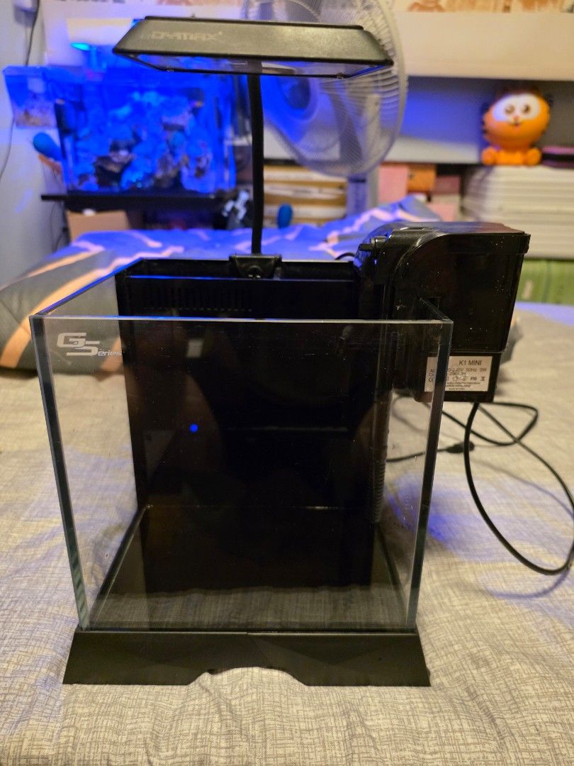 Dymax GS-3 Cubey Aquarium with Filter, Pet Supplies, Homes & Other Pet ...