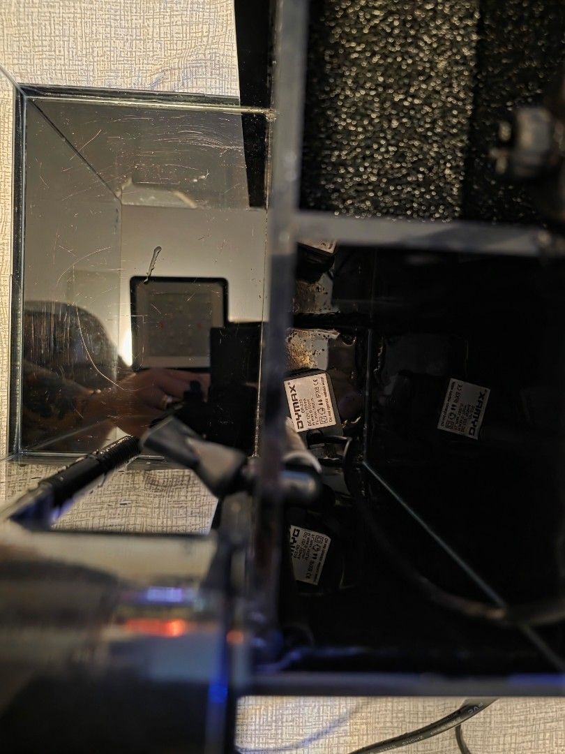 Dymax GS-3 Cubey Aquarium with Filter, Pet Supplies, Homes & Other Pet ...