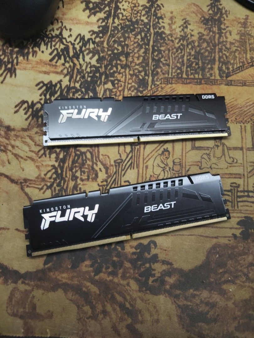 Kingston FURY Beast DDR5 8GB x2 5600MHz RAM, Computers & Tech, Parts ...