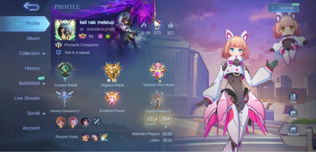 mlbb maxed priti acc 364 skins check skins, Video Gaming, Gaming ...