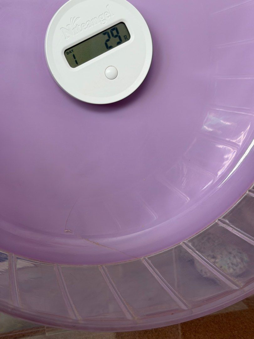 Niteangel Silent Hamster Wheel 28cm, Pet Supplies, Homes & Other Pet ...