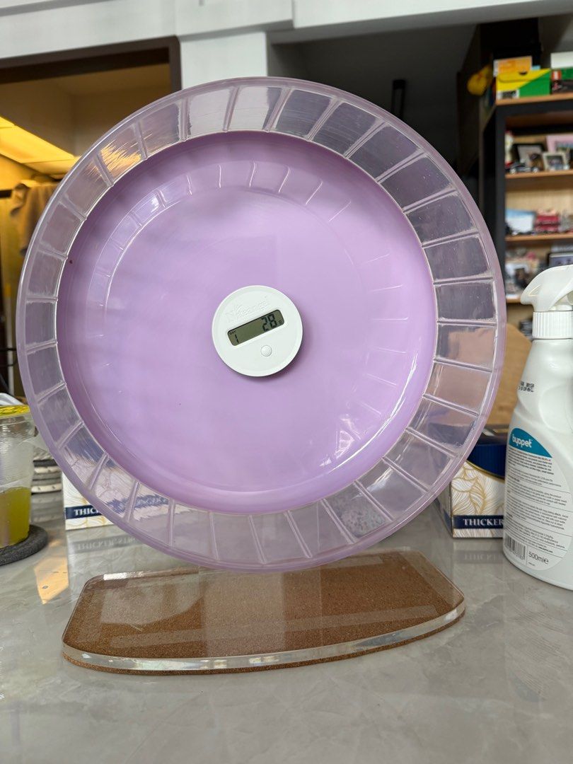 Niteangel Silent Hamster Wheel 28cm, Pet Supplies, Homes & Other Pet ...