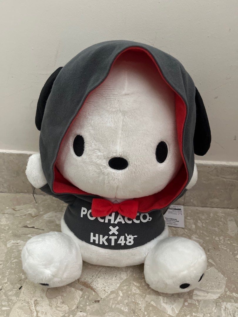 Pochacco x HKT48 Plush Toy, Hobbies & Toys, Toys & Games on Carousell