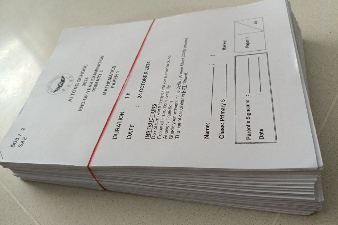 Primary 5 Mathematics Paper 2004 Practice Bundle with Answers, Hobbies ...