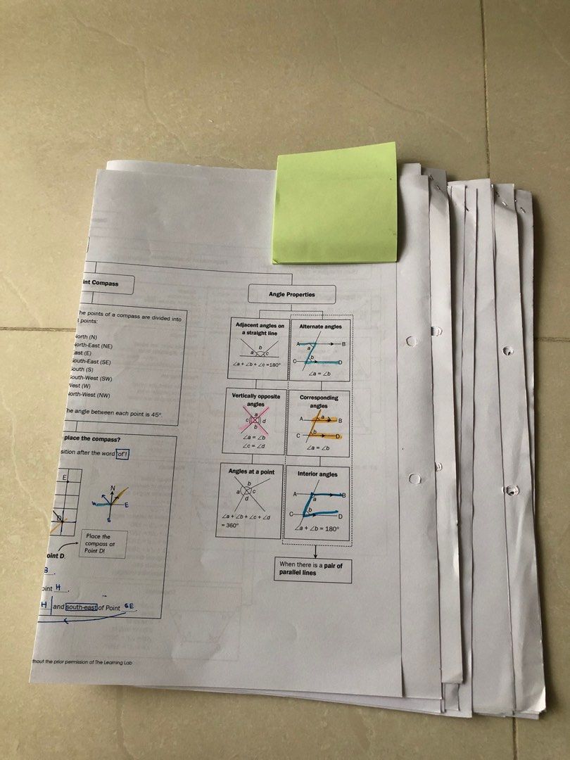 PSLE TLL The Learning Lab P5/6 Math Notes - Angle Properties and more ...