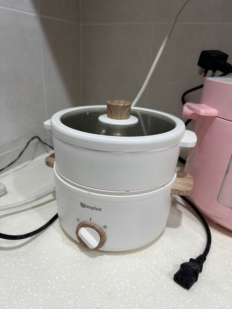 Simplus Electric Steamer, TV & Home Appliances, Irons & Steamers on ...