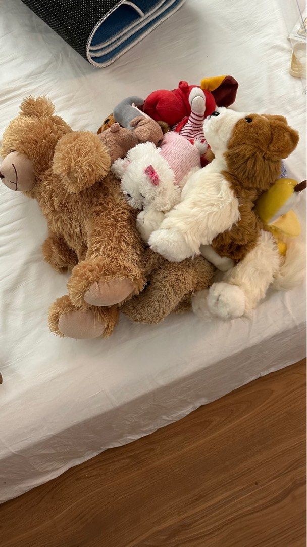 Assorted Stuffed Animals - Teddy Bear, Dog, and More!, Hobbies & Toys ...