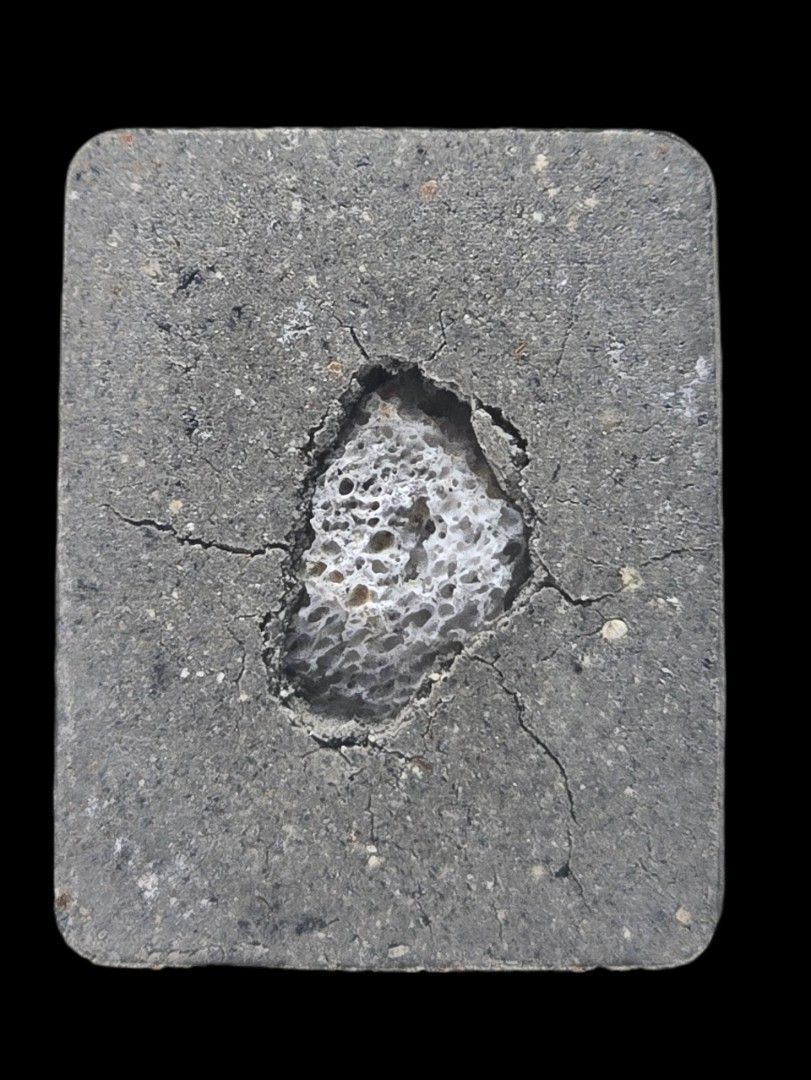 Lp Chamnan Phra Pidta - Lp Channam Phra Pitda. BE 2568 (Made 1000 pcs ...