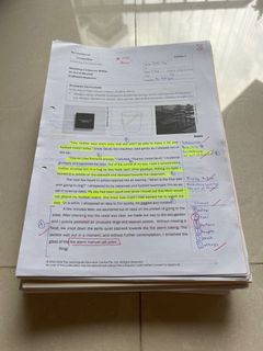 TLL The Learning Lab P2 English Worksheets, Hobbies & Toys, Books ...