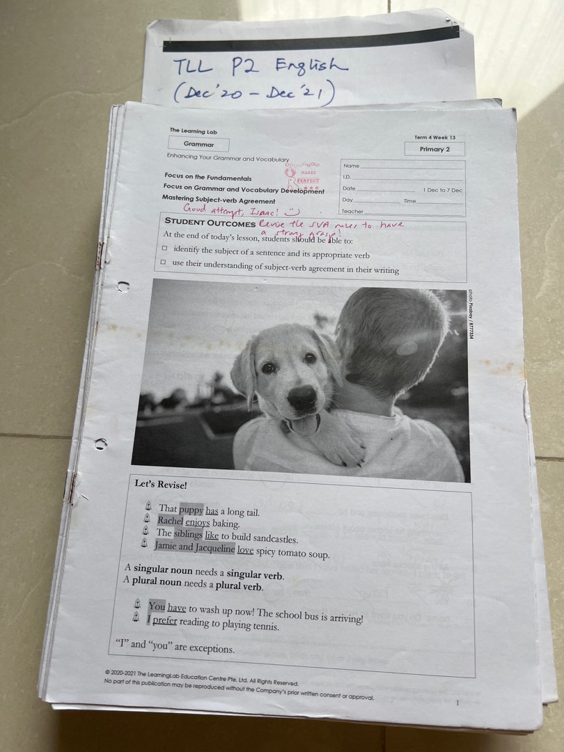 TLL The Learning Lab P2 English Worksheets, Hobbies & Toys, Books ...