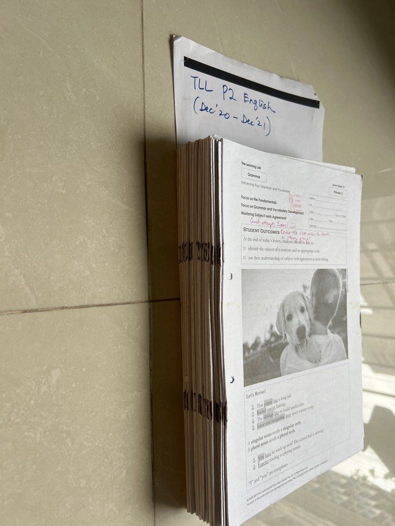 TLL The Learning Lab P2 English Worksheets, Hobbies & Toys, Books ...