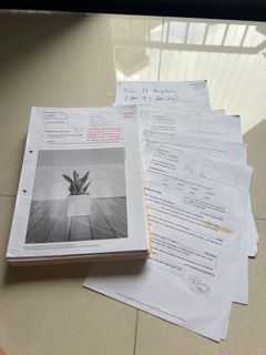 TLL The Learning Lab P2 English Worksheets, Hobbies & Toys, Books ...